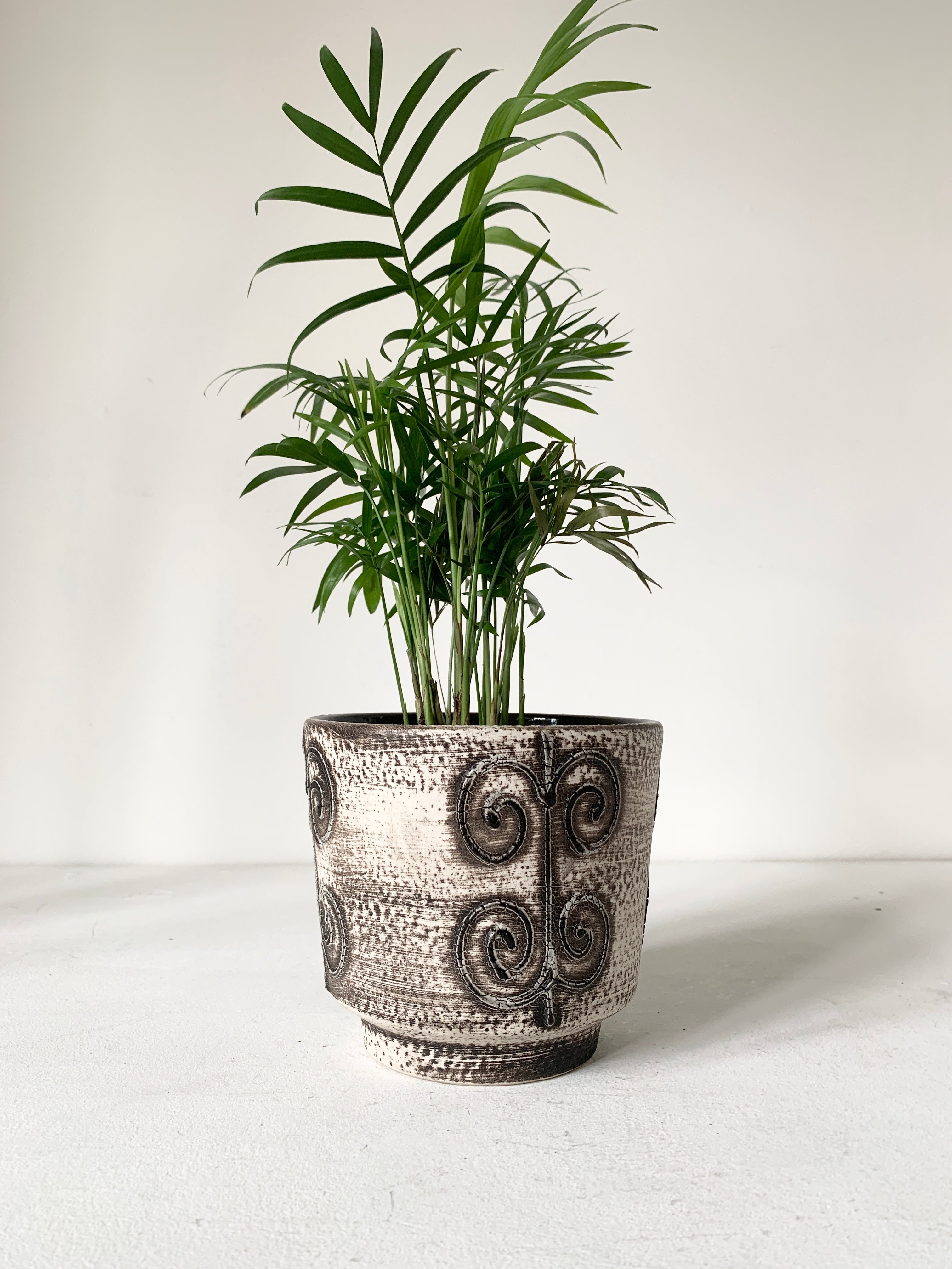 Mid Century Black & White Plant Pot – reflective-forms